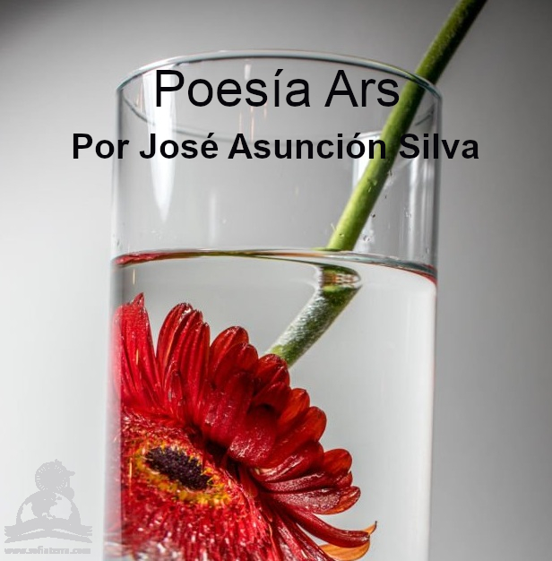 Ars - José Asunción Silva | Sofiaterra