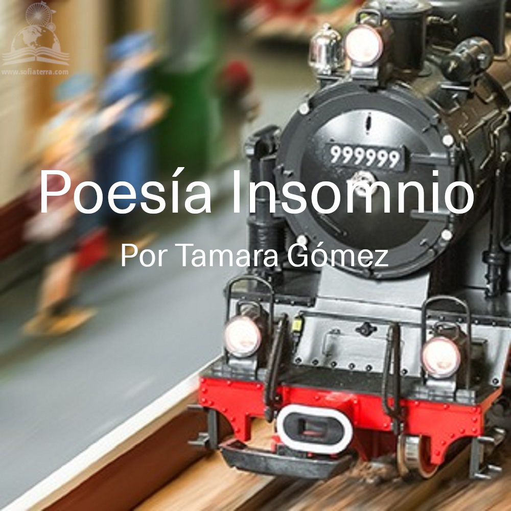 Insomnio - Tamara Gómez | Sofiaterra